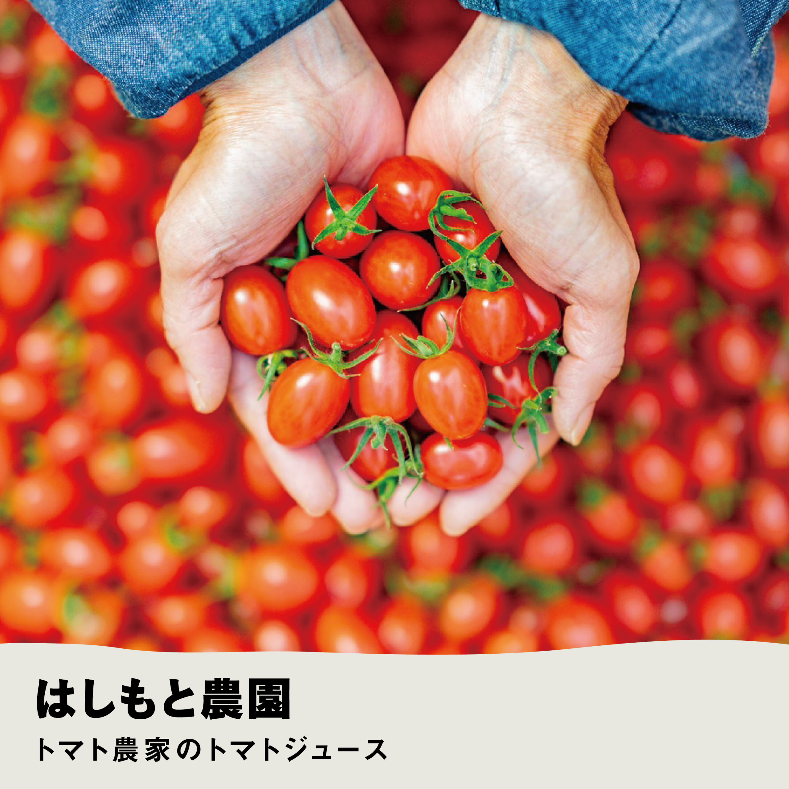 【岐阜トーキョー】8/24-25「岐阜TEN caravan in東京」開催！ – 岐阜のローカルメディア ｜ さかだちブックス ｜ 暮らし ...