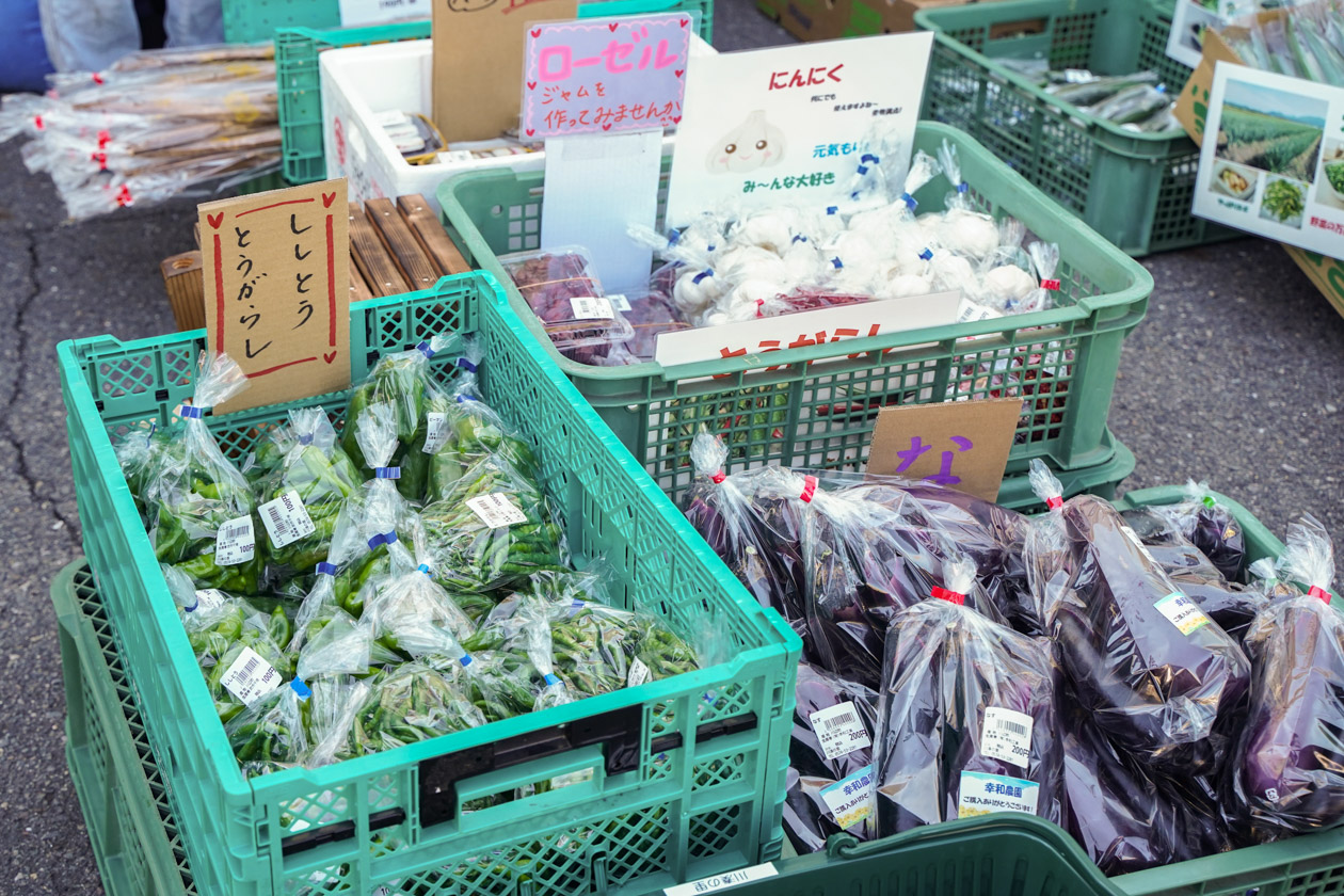 【川辺町】KAWABE MOUNTAIN FES. FUMOTO 2025開催決定！ – 岐阜のローカルメディア ｜ さかだちブックス ｜ 暮らし・情報・観光